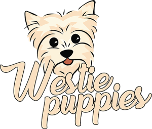 Ardendale Kennels - Westie Puppies